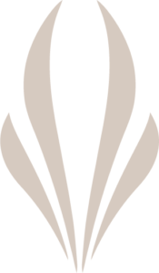 World Wide Security | WWS